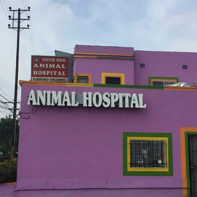 Finding The Major Animal Hospitals In Los Angeles, CA
